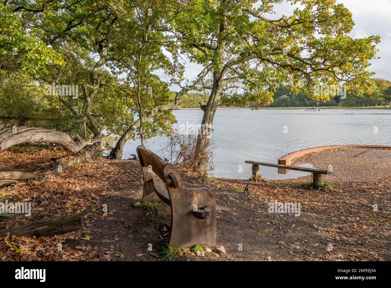 Hms cricket immagini e fotografie stock ad alta risoluzione - Alamy