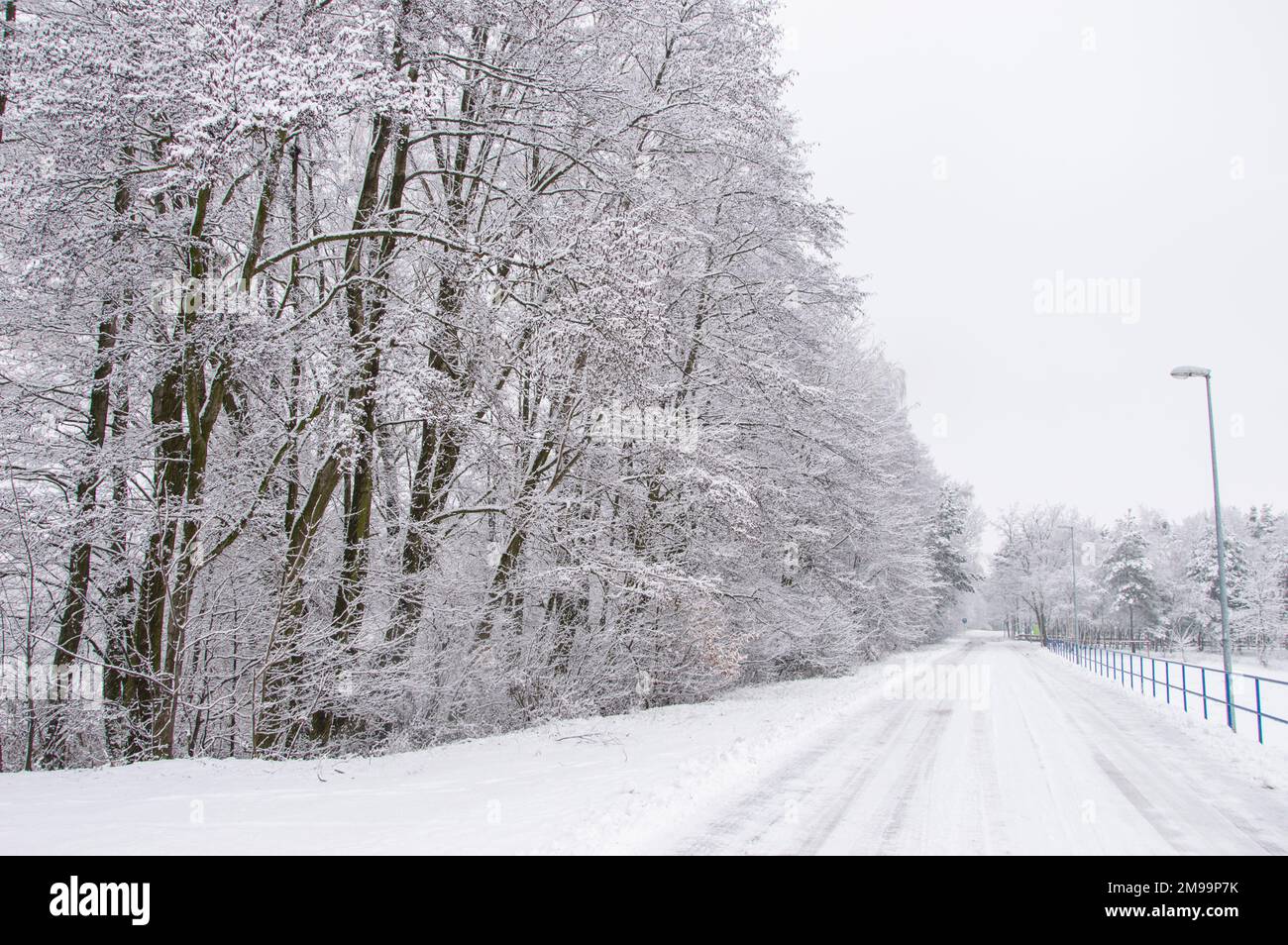 Giornata uggiosa nebbiosa immagini e fotografie stock ad alta ...