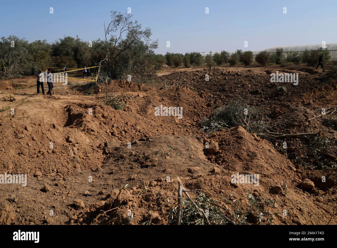 People inspect a hole and destroyed olive trees near the rubble of ...
