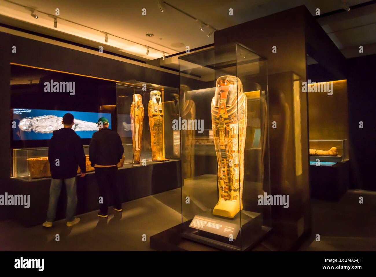 Mummia nel sarcofago dipinto, la Galleria Egiziana nel Museo Chau Chak ...