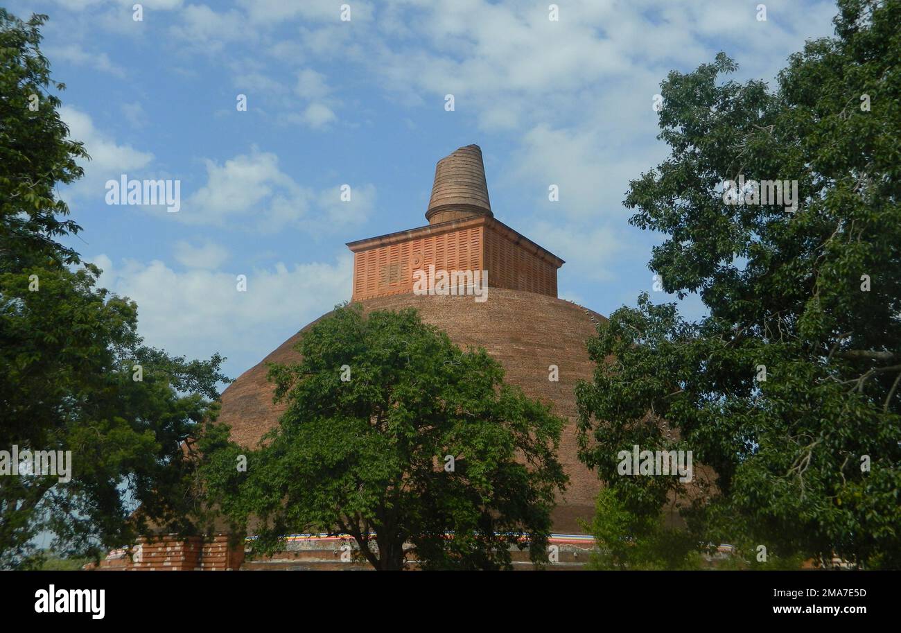 Ciclo del tempio di kandy immagini e fotografie stock ad alta ...