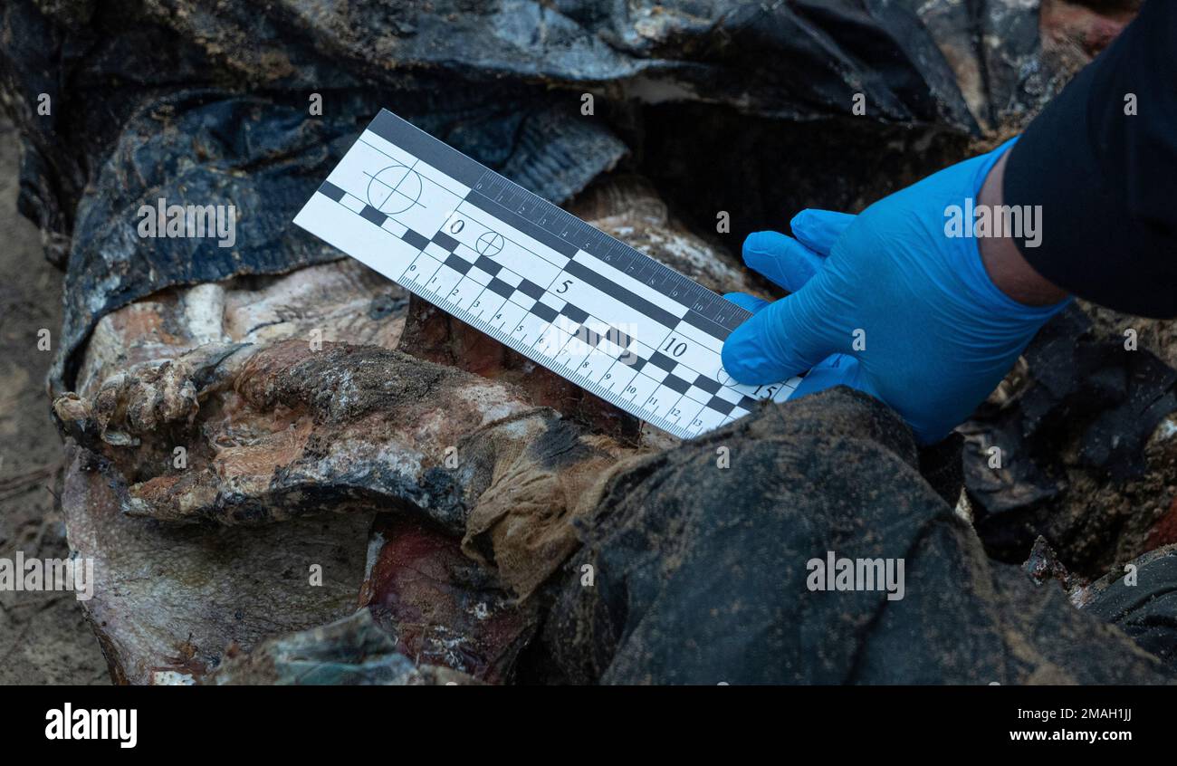 A police officer photographs a body during an exhumation in the ...