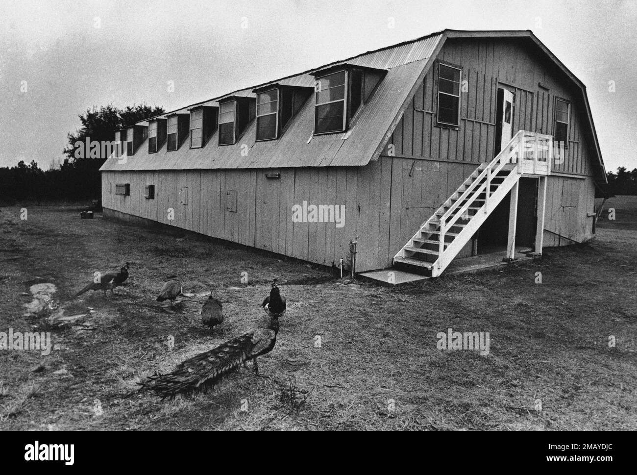 A one-room schoolhouse on the New Talavan Hare Krishna farm is shown in ...
