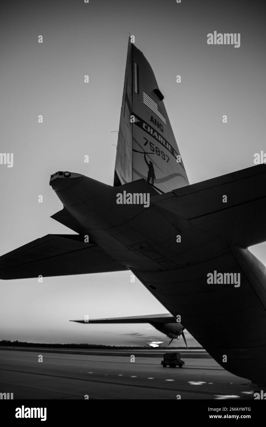 STATI UNITI Air Force C-130 Hercules Airlift Wing 130th, McLaughlin Air ...