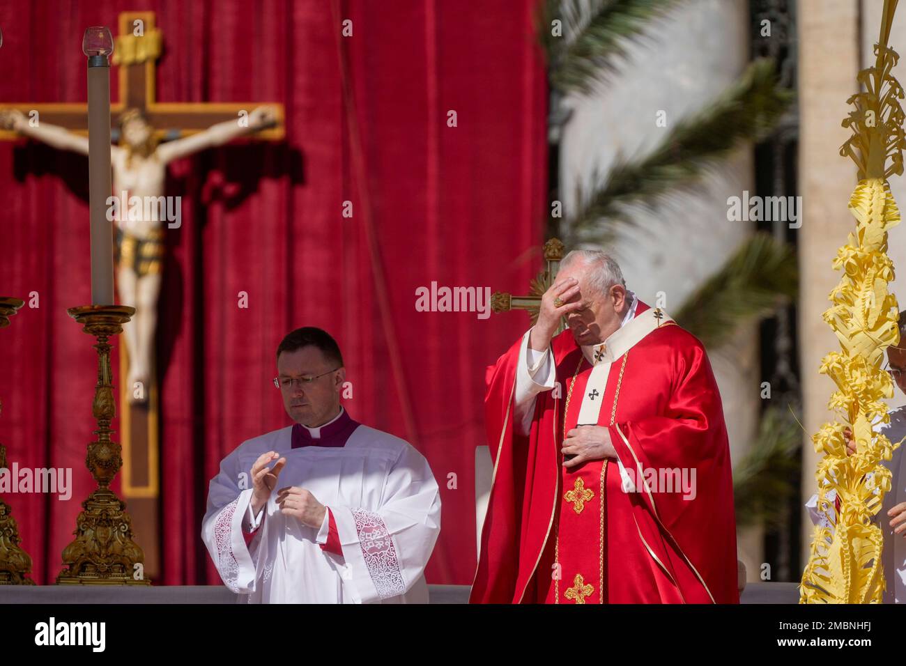 Pope Francis celebrates Palm Sunday Mass in St. Peter's Square at the ...