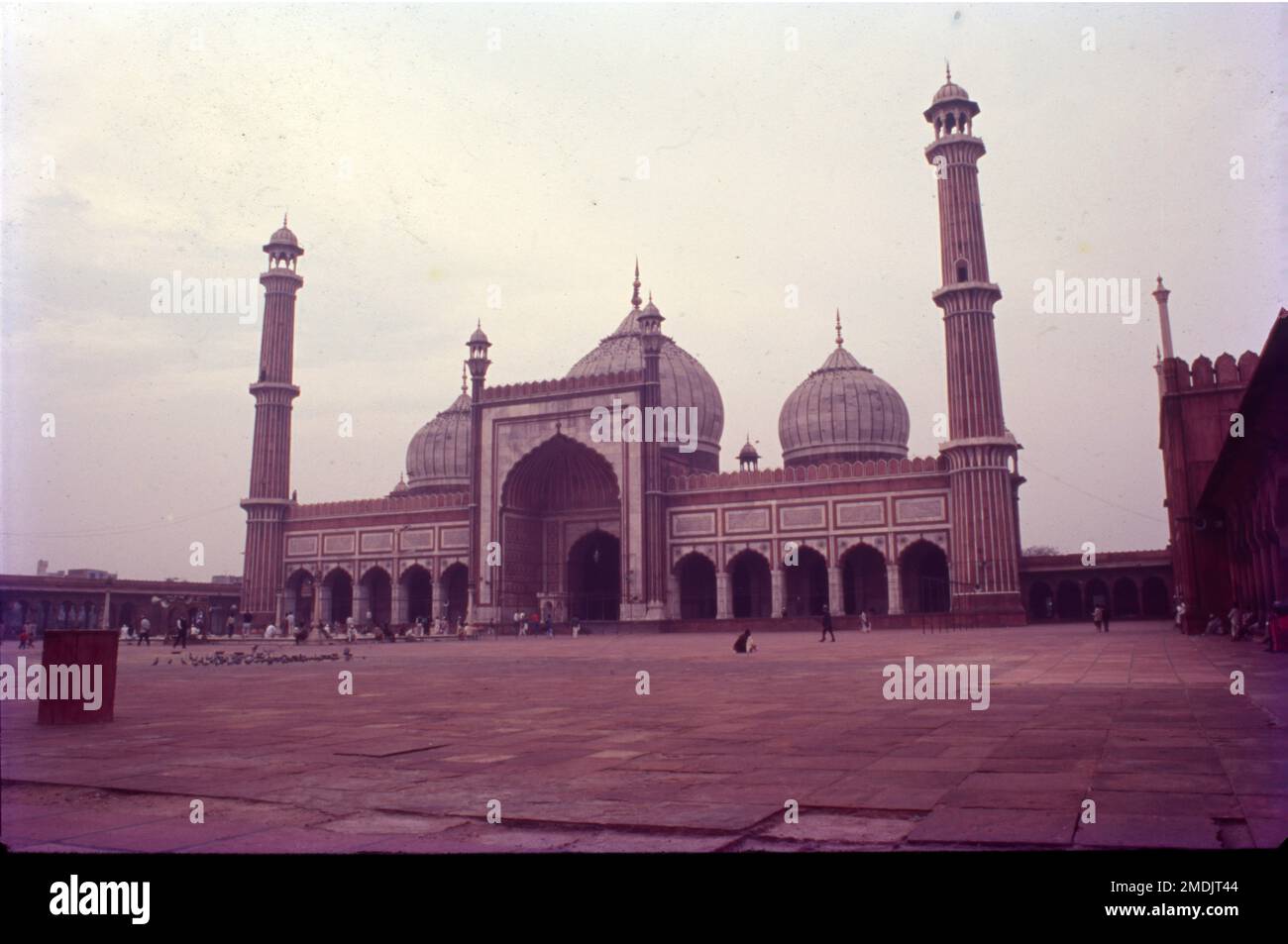 Il Masjid-i-Jehan-Numa, comunemente conosciuto come il Jama Masjid di ...