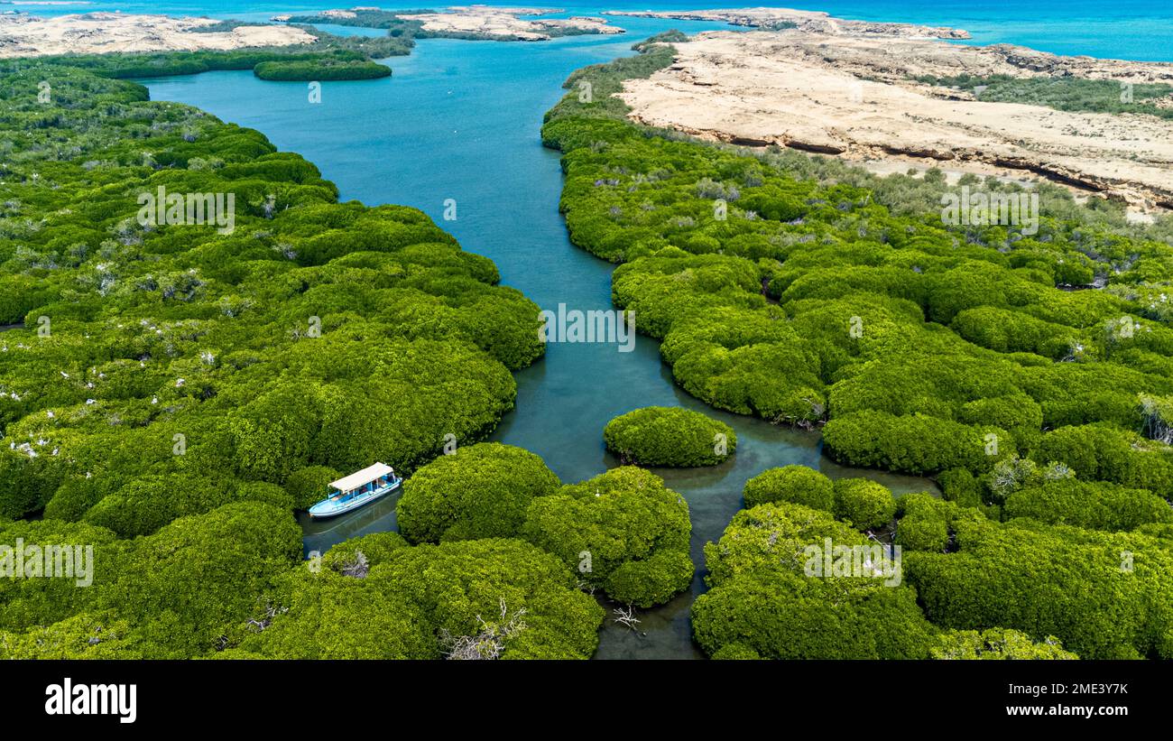 Vista aerea barca a vela attraverso la foresta di mangrovie arcipelago ...