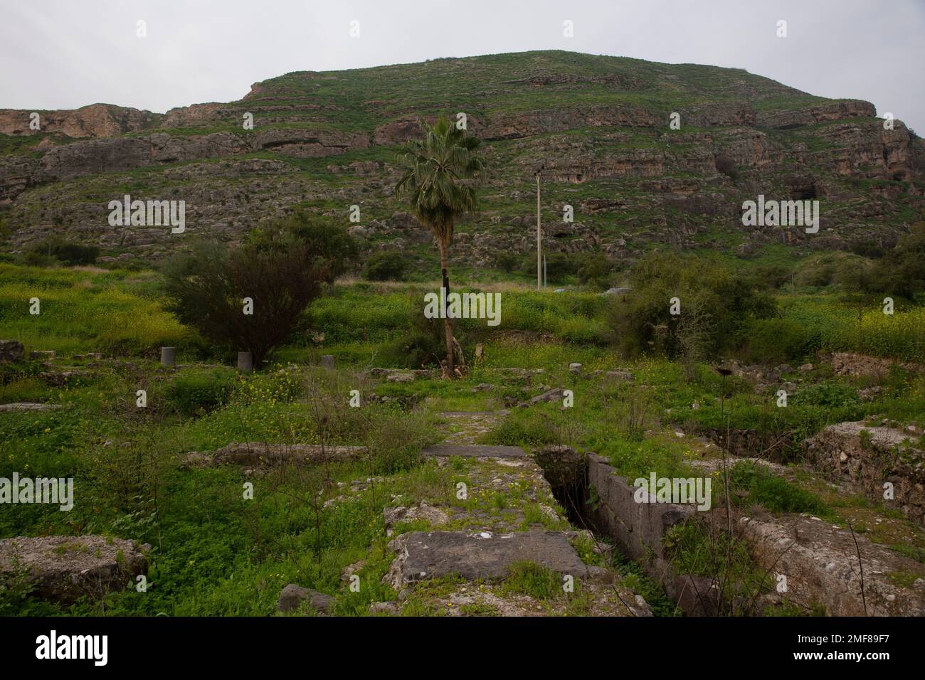 At the foot of Mount Bernice, stones from the Al-Juma (Friday) Mosque ...