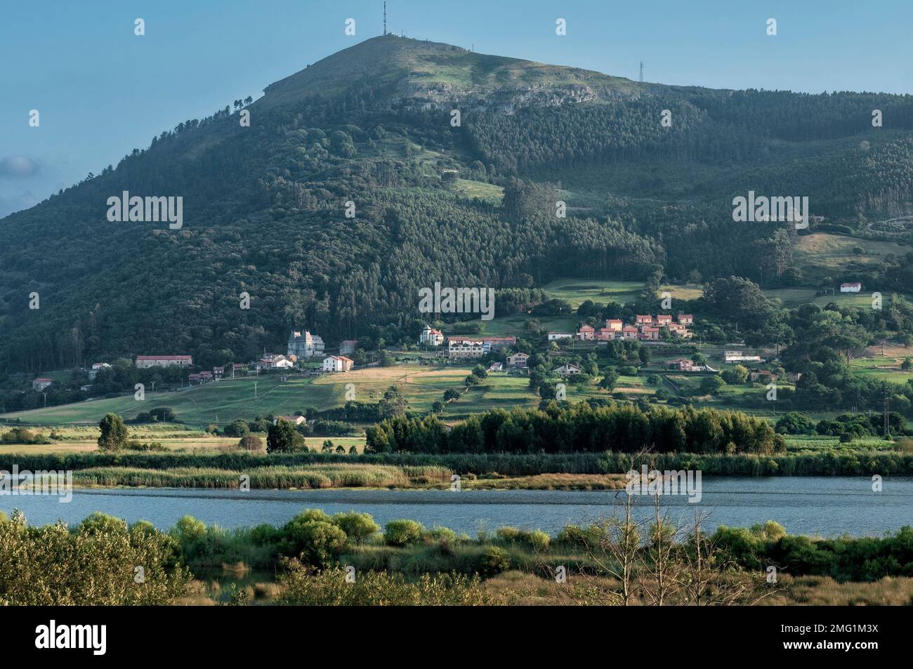 Pico candiano immagini e fotografie stock ad alta risoluzione - Alamy