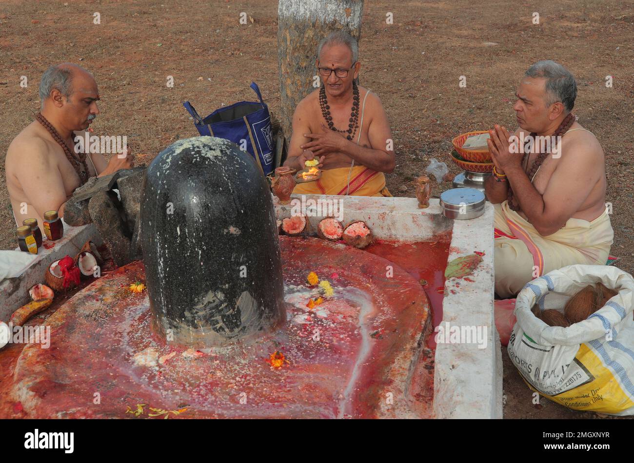 Hindu priests offer prayers to a Shivling, a representation of Hindu ...