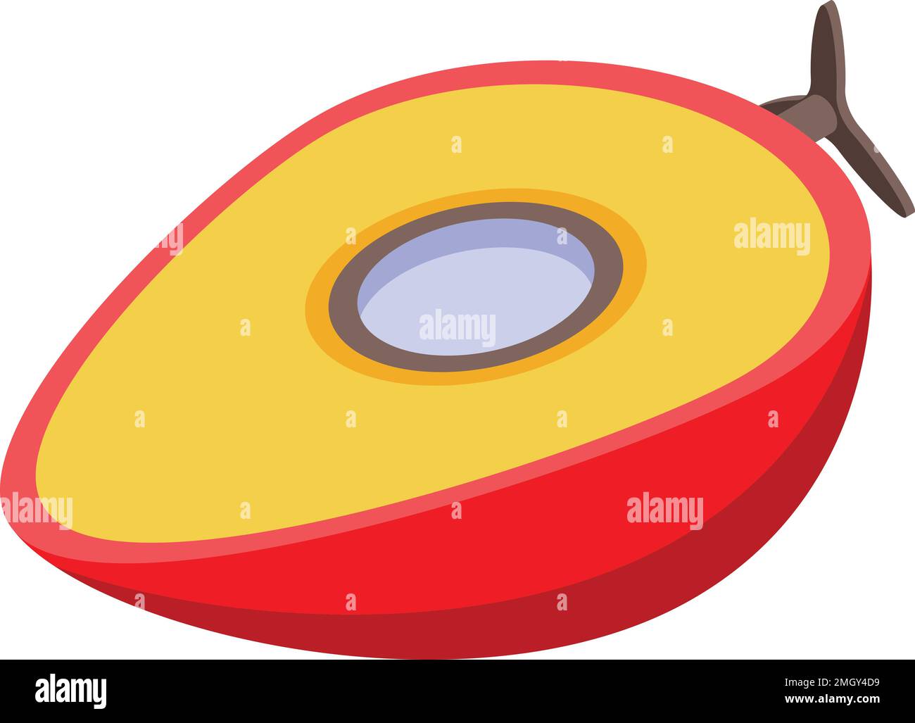 Anatomia del seme Immagini Vettoriali Stock - Alamy