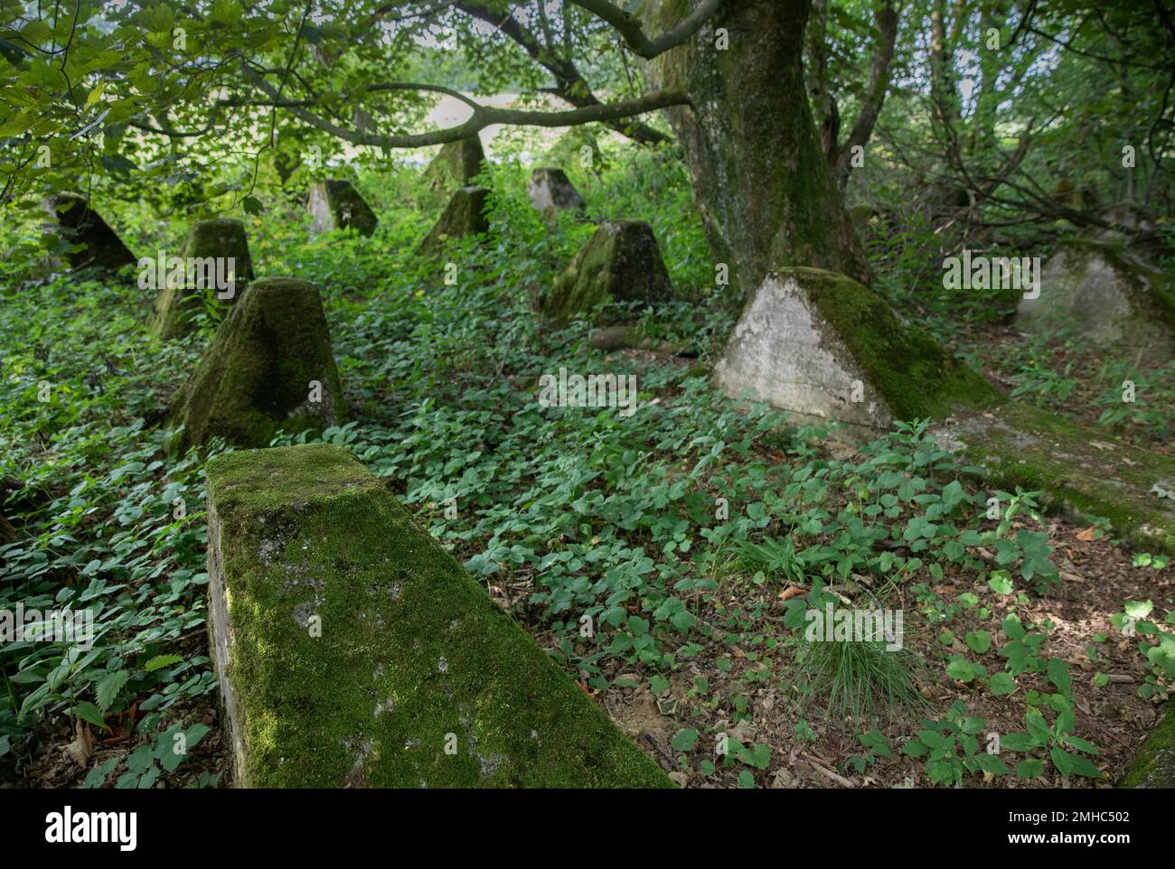 In this photo taken on Aug. 8, 2019, World War II anti-tank obstacles ...