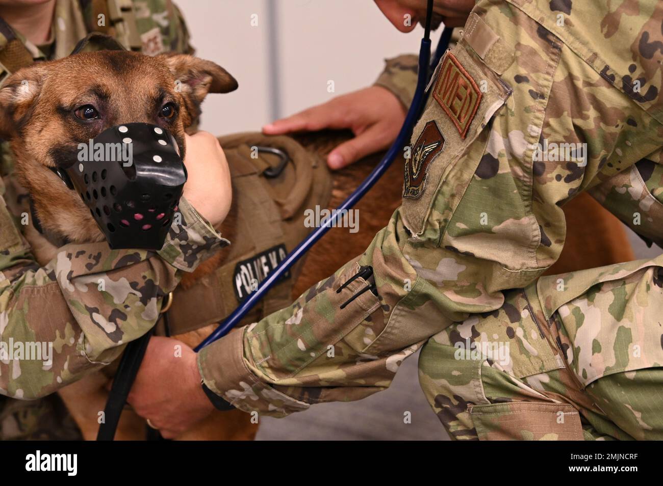 STATI UNITI Richard Wood, un soccorritore medico assegnato alla sala di ...
