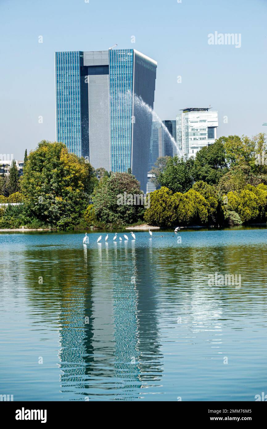 Bosque de chapultepec sezione 2 foresta immagini e fotografie stock ad ...