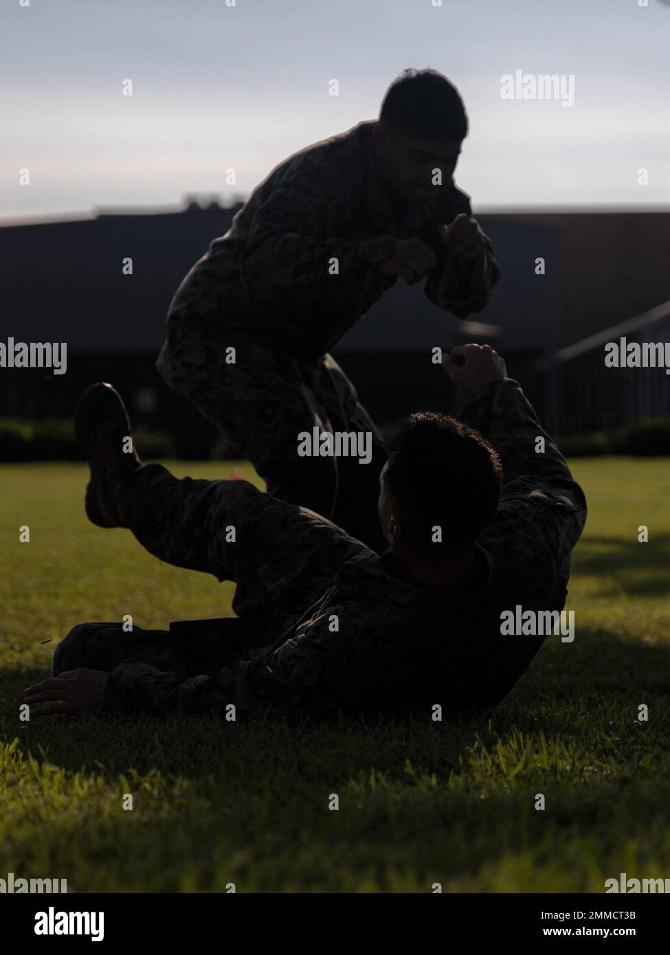 Technique mcmap immagini e fotografie stock ad alta risoluzione - Alamy