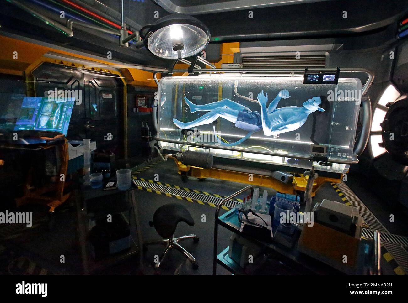 FILE - In this April 29, 2017, file photo, a Na'vi in a science lab is ...