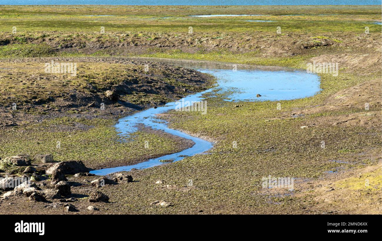 Parque natural ria formosa immagini e fotografie stock ad alta ...