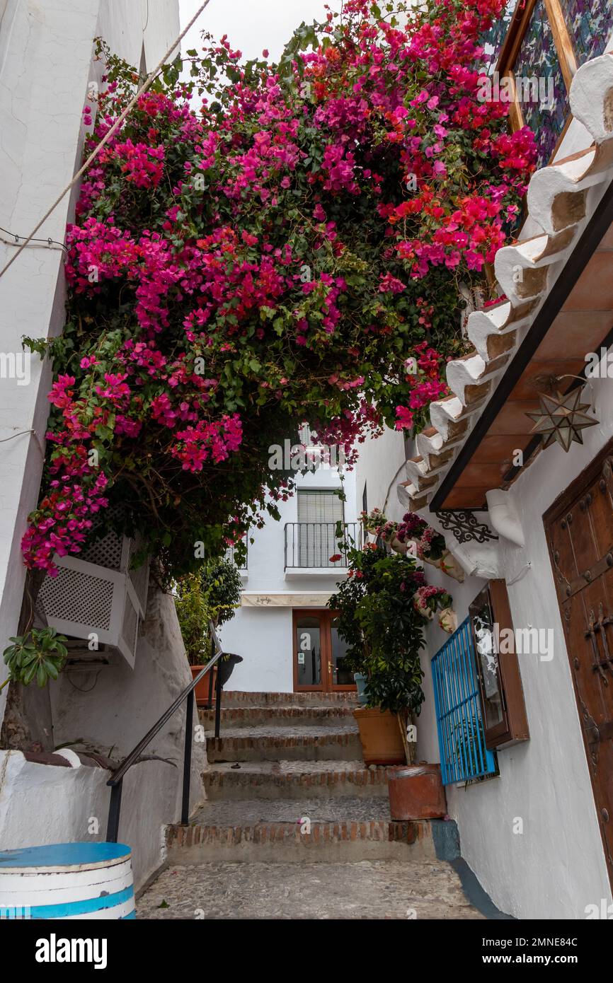 Calle típica de Frigiliana, Málaga, uno de los pueblos más bonitos de ...