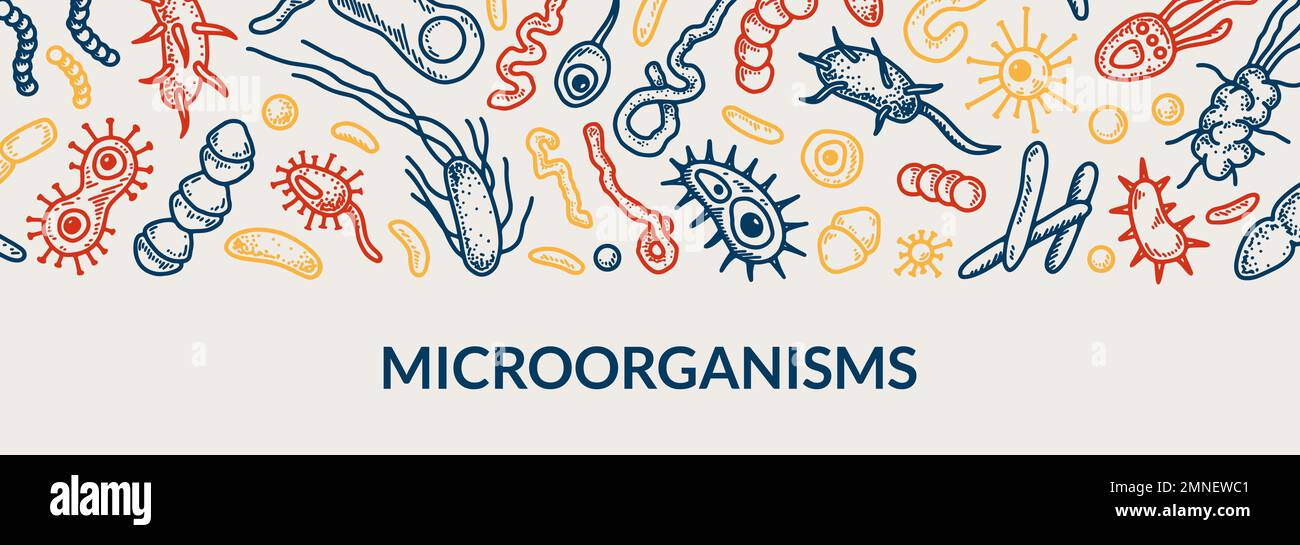 Tipos de bacterias microbiologia immagini e fotografie stock ad alta ...