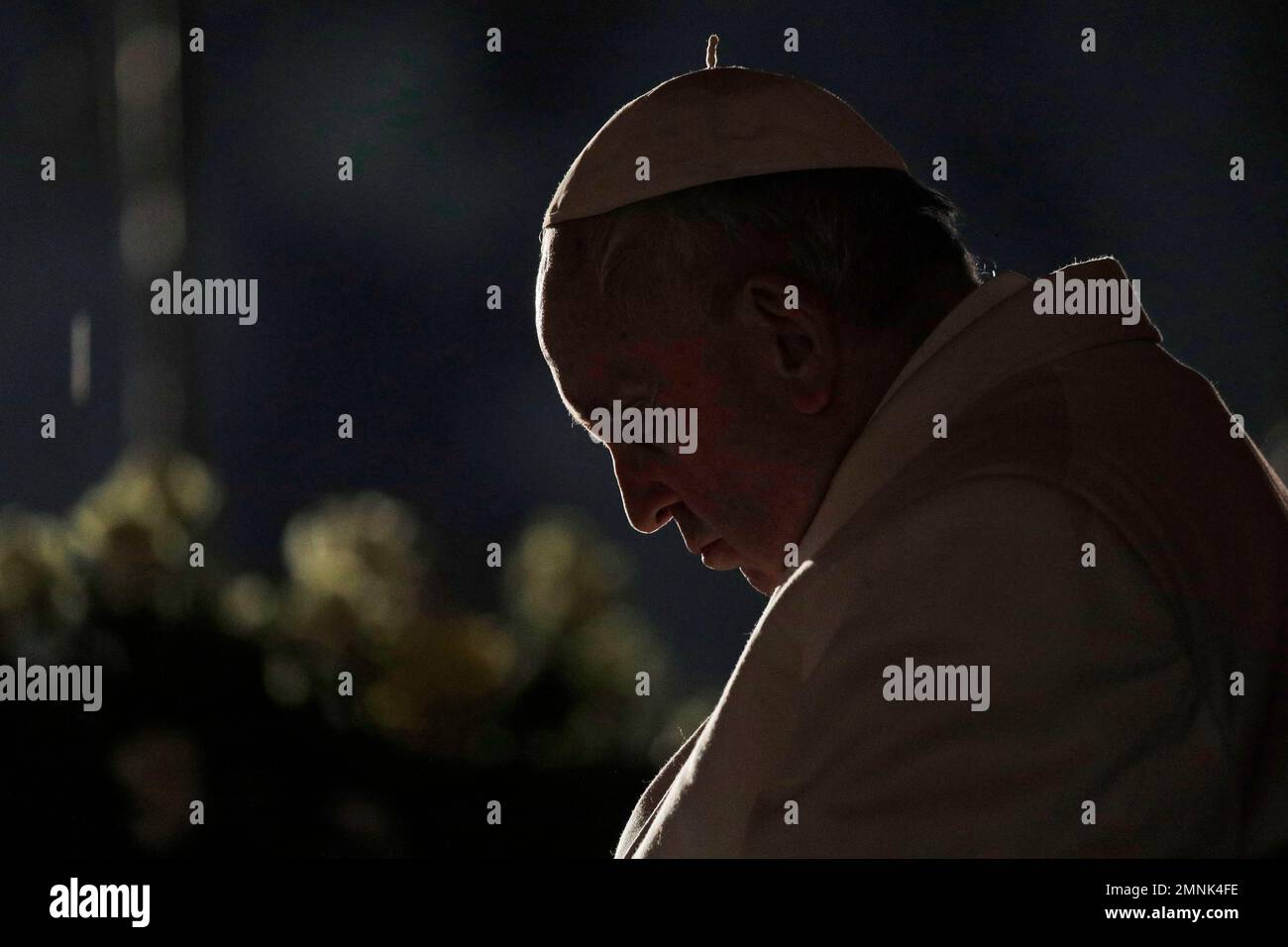 Pope Francis presides over the Via Crucis (Way of the Cross) torchlight ...