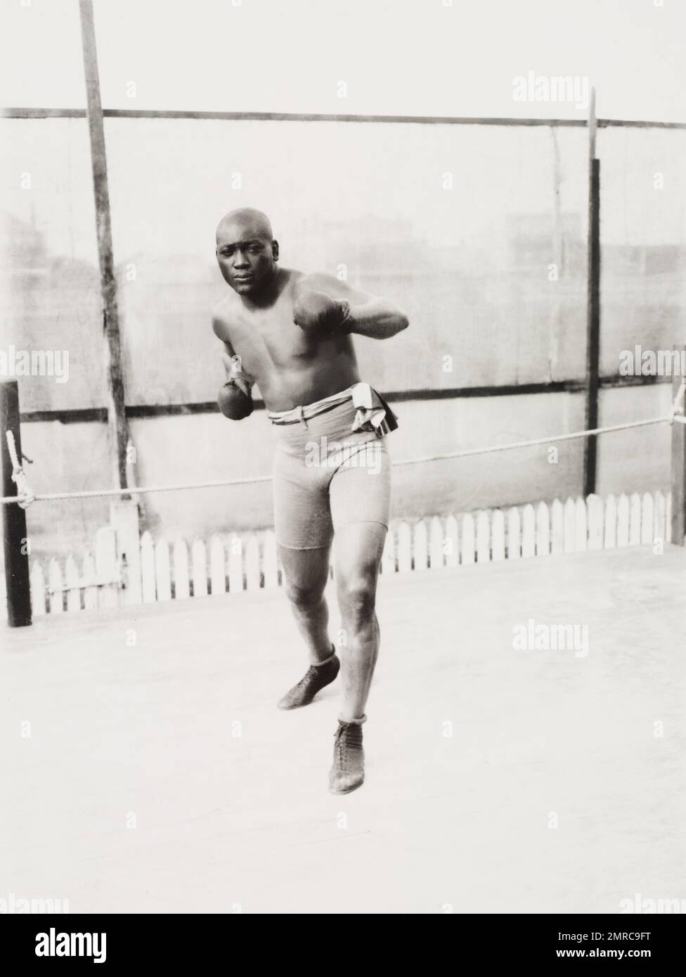 1908 ca , USA : il celebre campione pugile JACK JOHNSON ( 1878 - 1946 ), il primo campione di ...