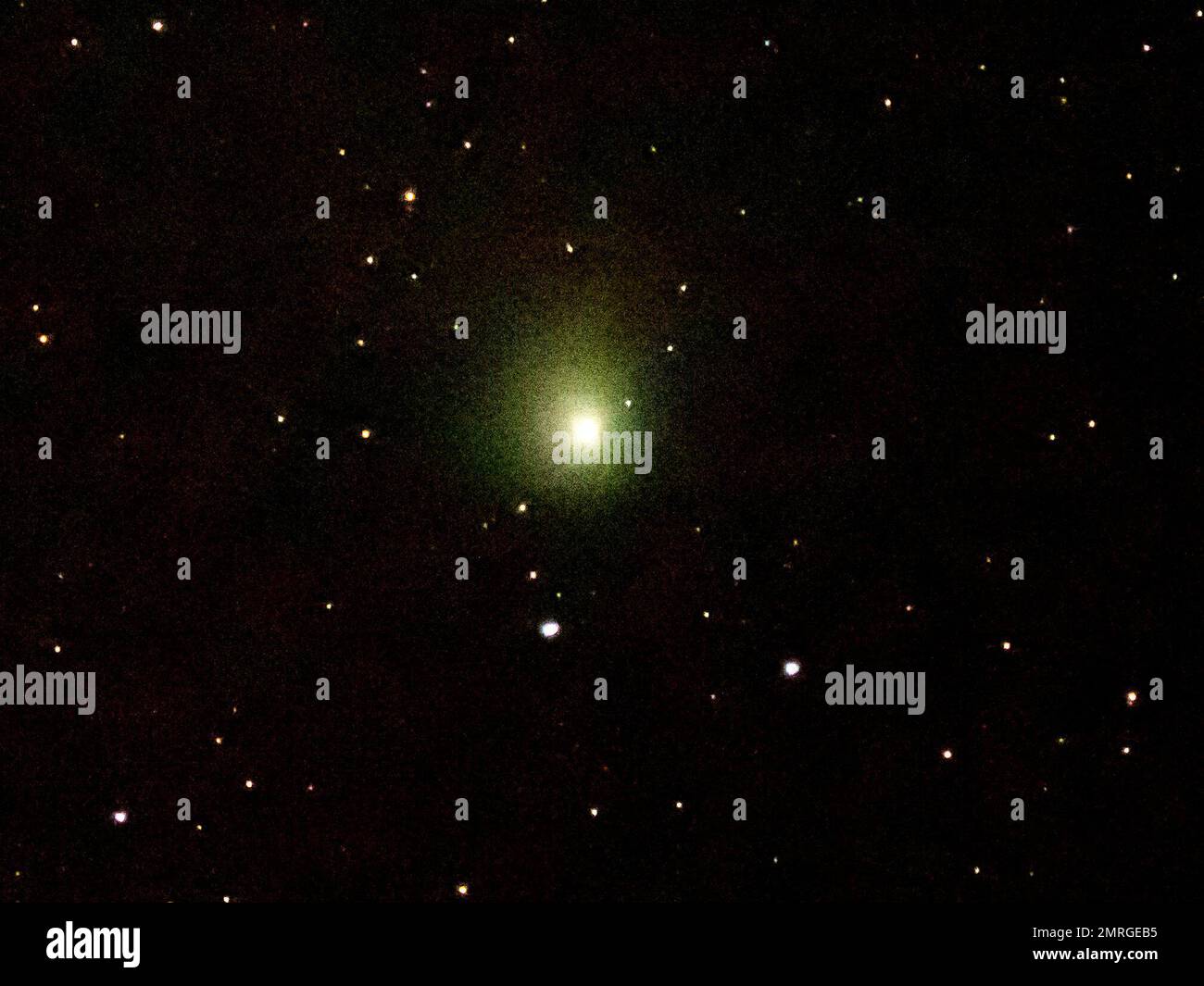 Sheerness, Kent, Regno Unito. 1st Feb, 2023. La rara 'Cometa Verde ...