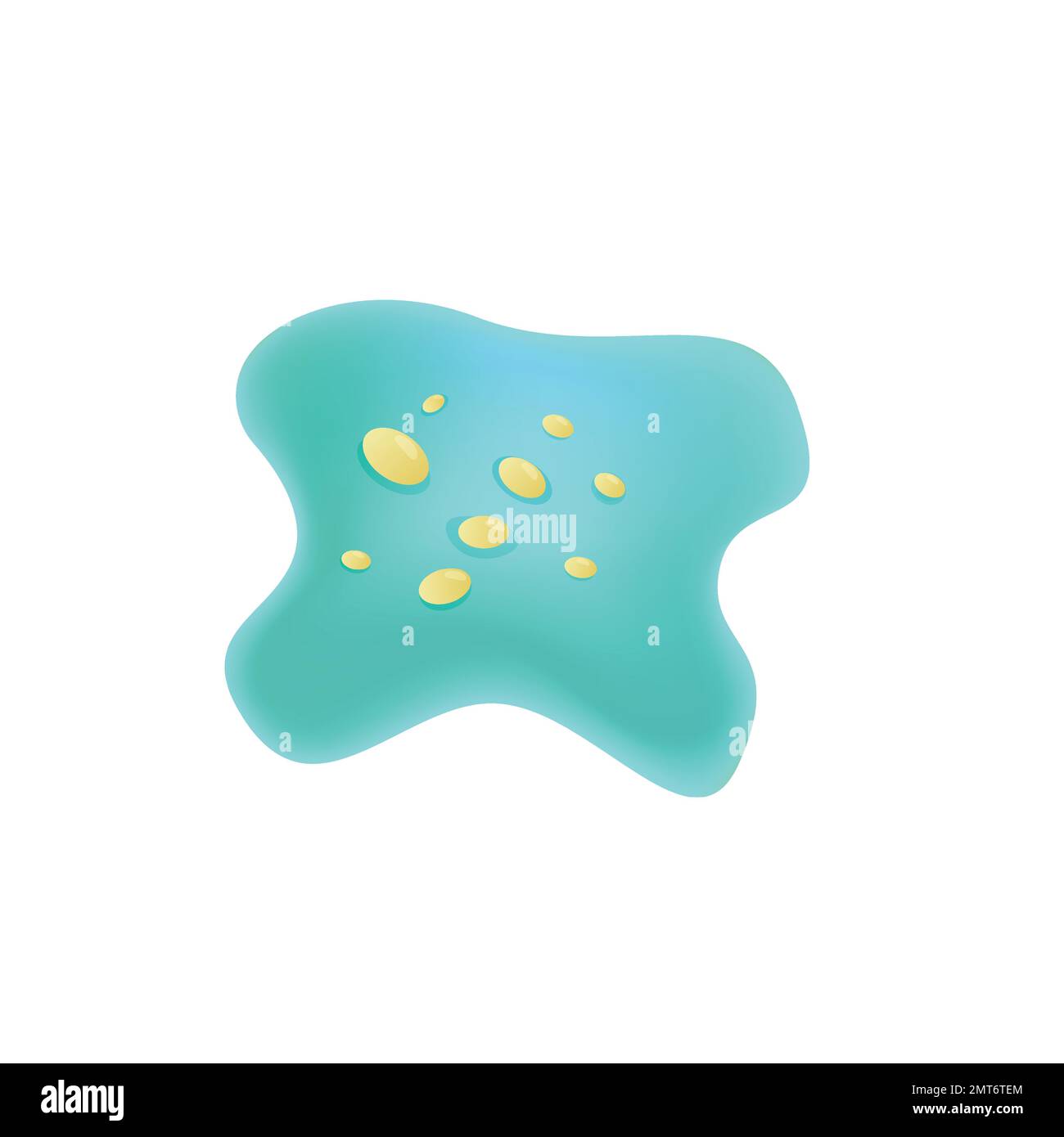 Tipos de bacterias microbiologia immagini e fotografie stock ad alta ...