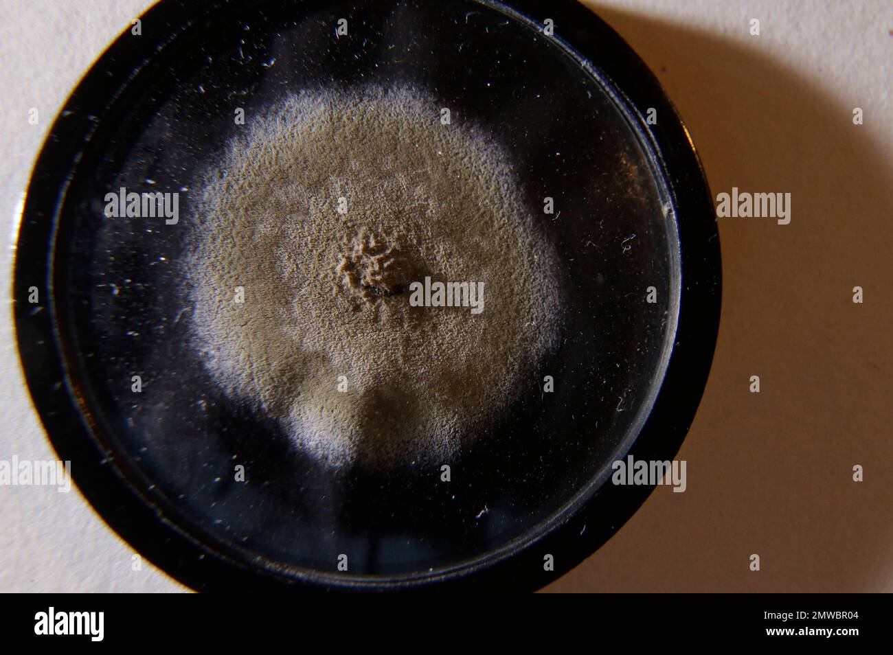 In this photo taken on Thursday, Feb. 16, 2017, a capsule of original ...