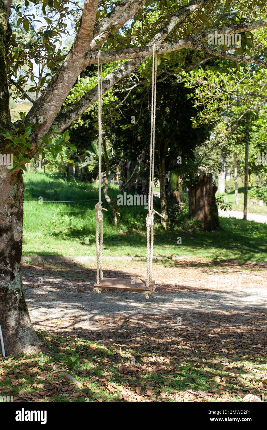 Altalena appesa al ramo di un albero immagini e fotografie stock ad ...