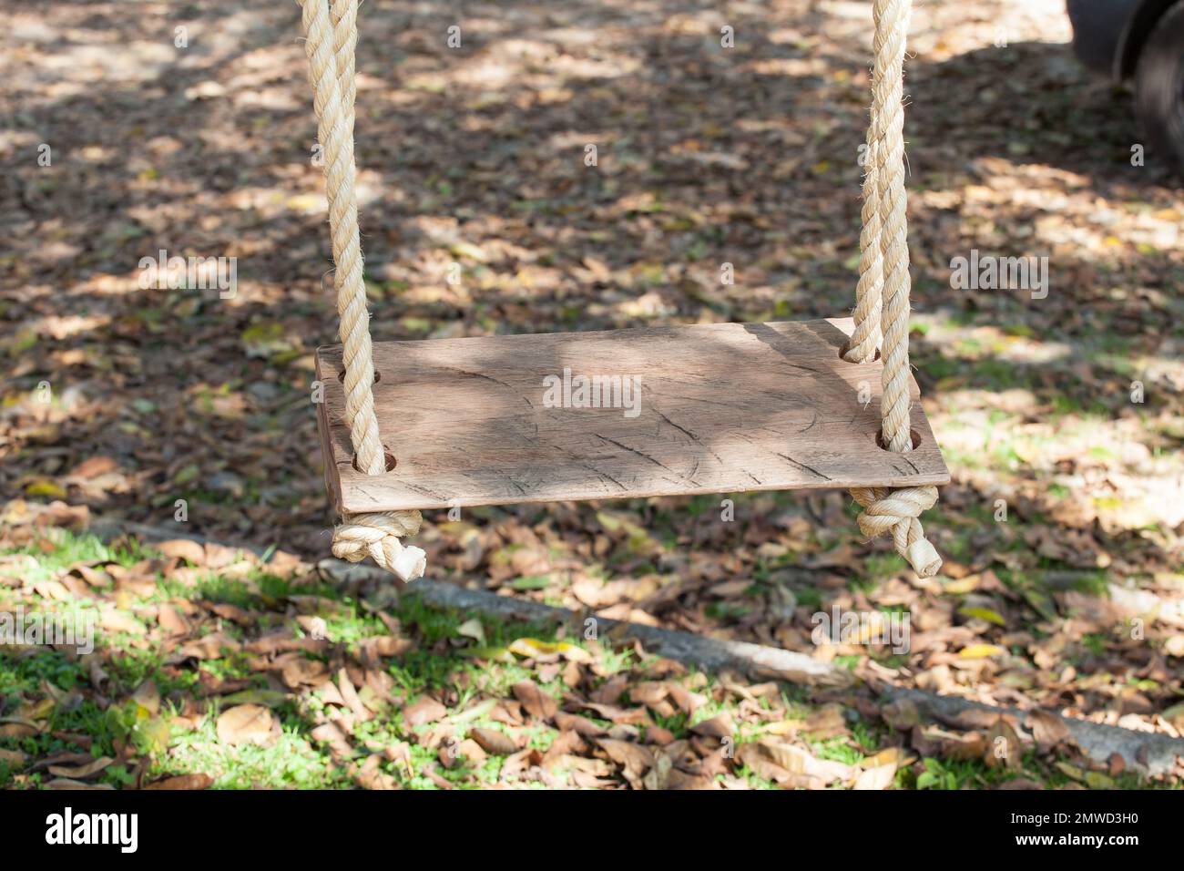 Altalena appesa al ramo di un albero immagini e fotografie stock ad ...