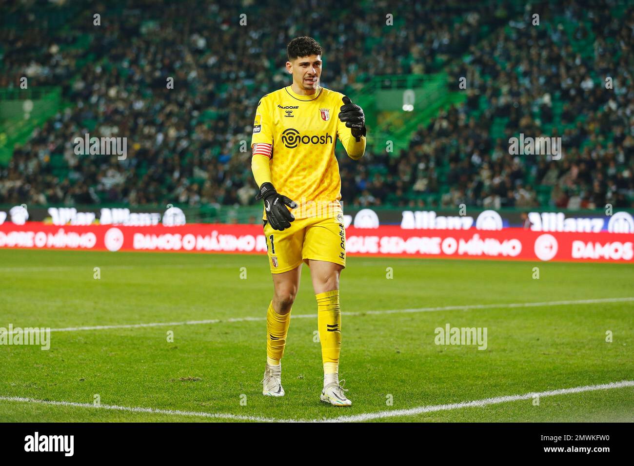 Partita di bwin della liga portogallo immagini e fotografie stock ad alta risoluzione - Alamy