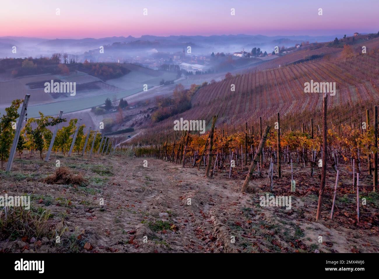 Italia villaggio vite piemonte immagini e fotografie stock ad alta ...