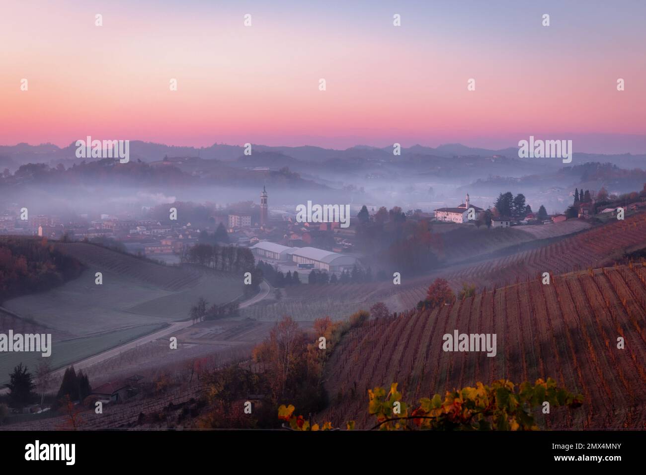 Italia villaggio vite piemonte immagini e fotografie stock ad alta ...