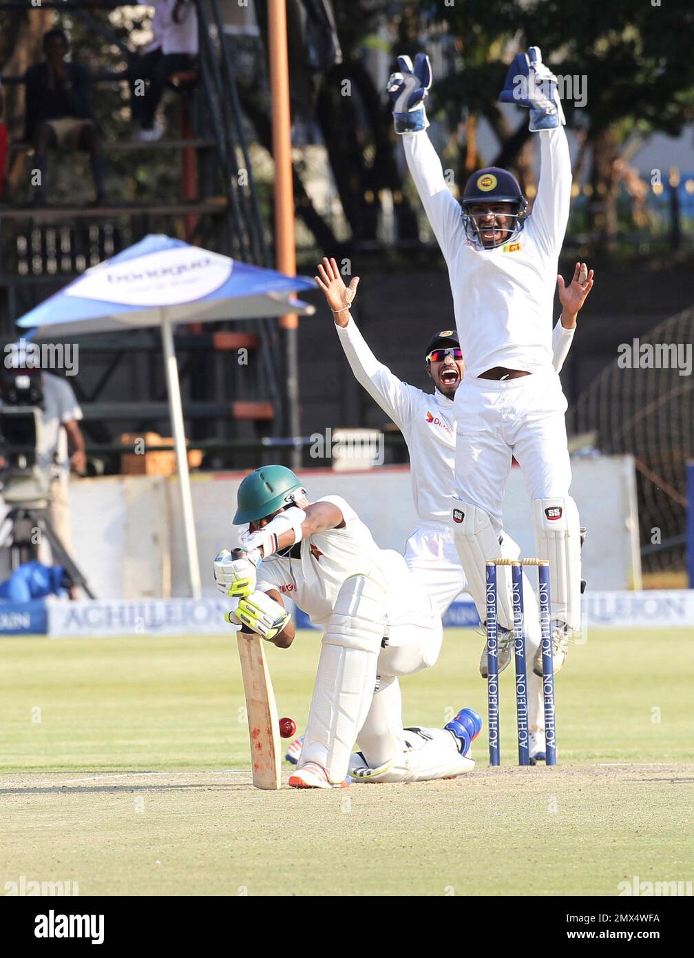 Sri Lanka players appeal unsuccessfully for the wicket of Zimbabwe ...