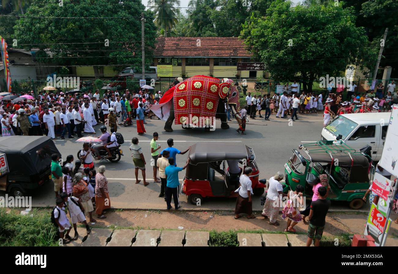 In this Oct. 20, 2016 photo, Sri Lankans walk in a procession with a ...