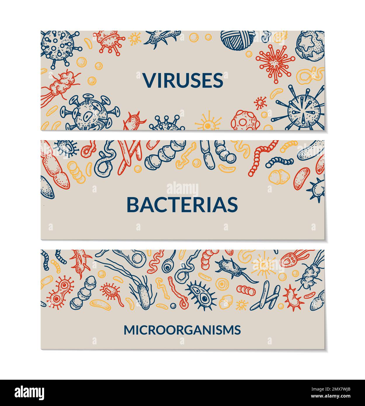 Tipos de bacterias microbiologia immagini e fotografie stock ad alta ...