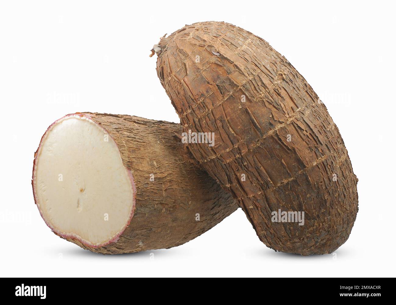 Pianta di manioca immagini e fotografie stock ad alta risoluzione - Alamy