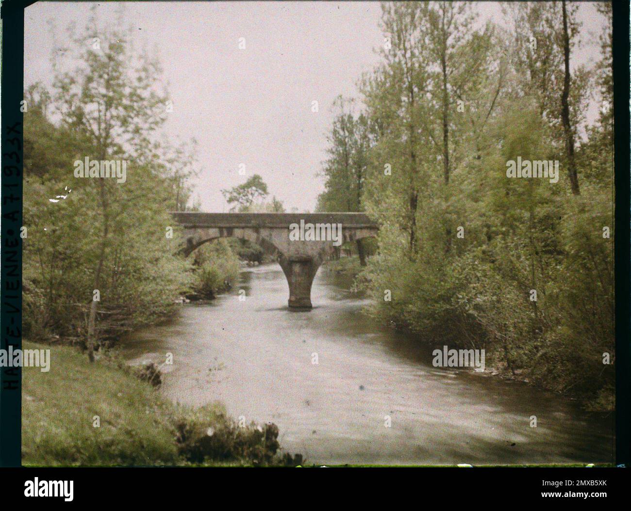 Architettura dell'habitat del ponte dell'idrografia fluviale dell ...