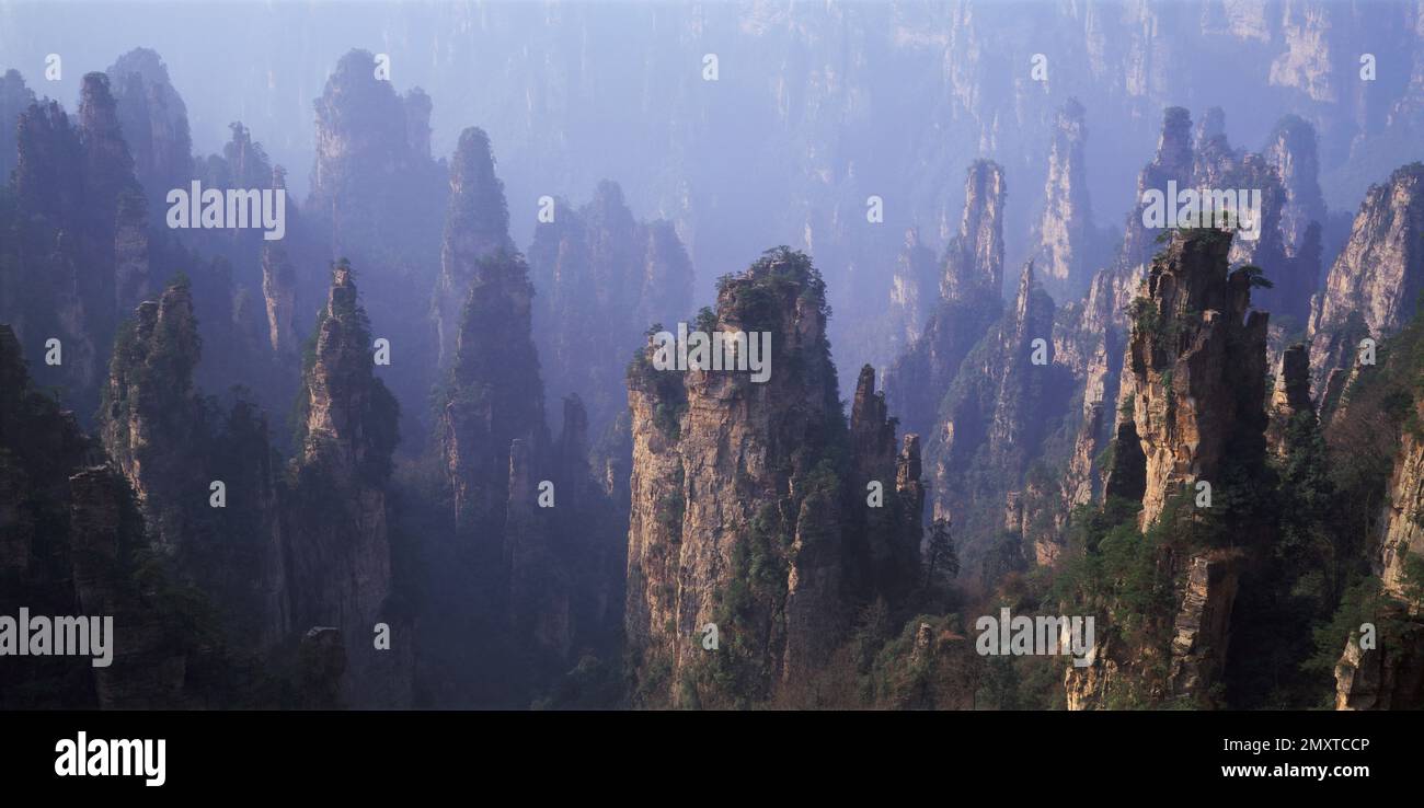 Montagne tianzi immagini e fotografie stock ad alta risoluzione - Alamy
