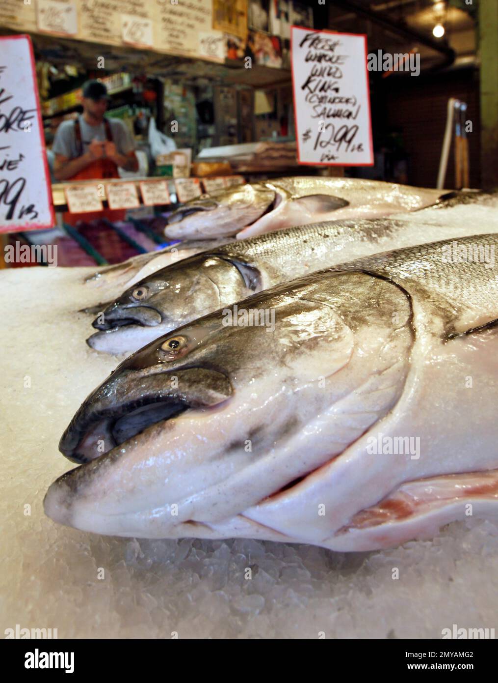 FILE -In this Sept. 20, 2010, file photo, King salmon, also known as ...