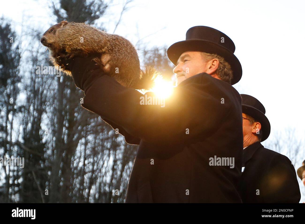 Groundhog Club handler John Griffiths holds Punxsutawney Phil, the ...