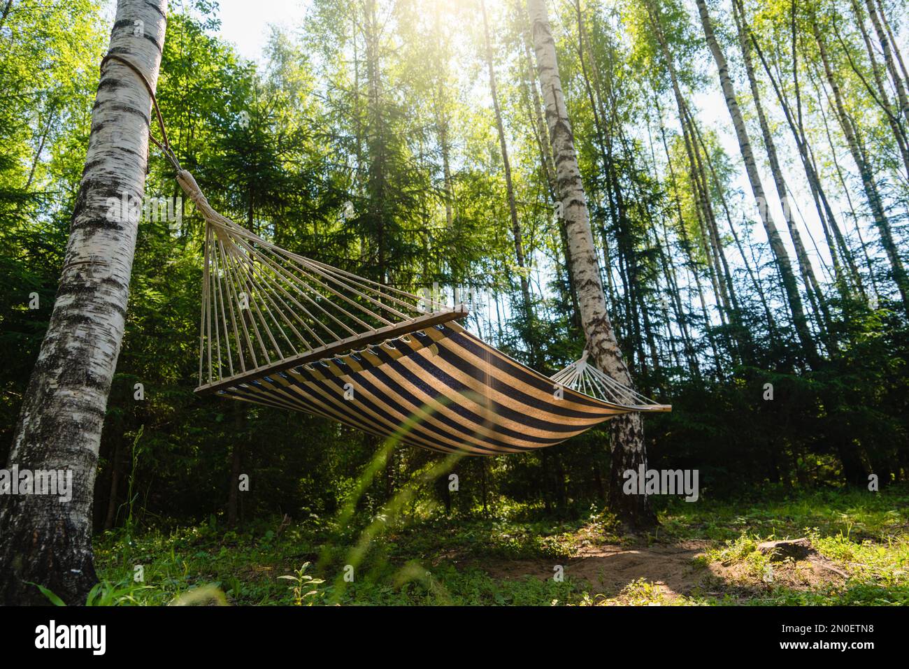 Vacanza nella foresta immagini e fotografie stock ad alta risoluzione ...