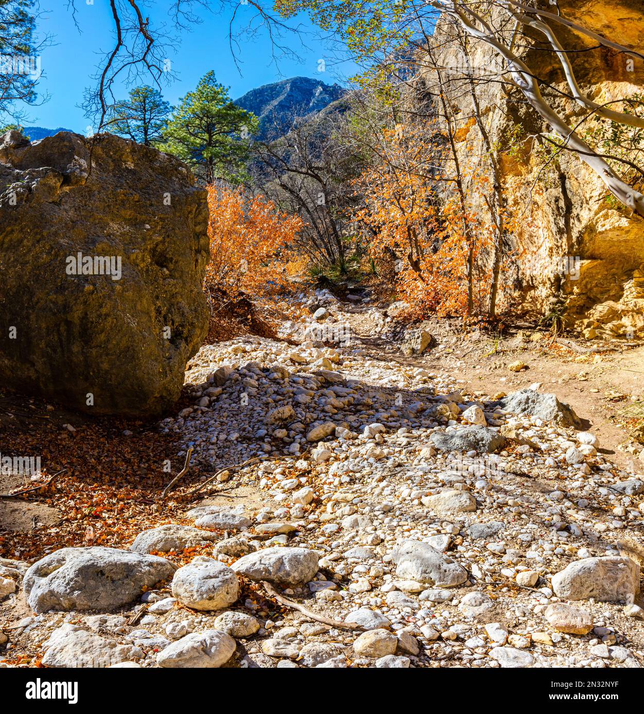 Mckittick canyon immagini e fotografie stock ad alta risoluzione - Alamy