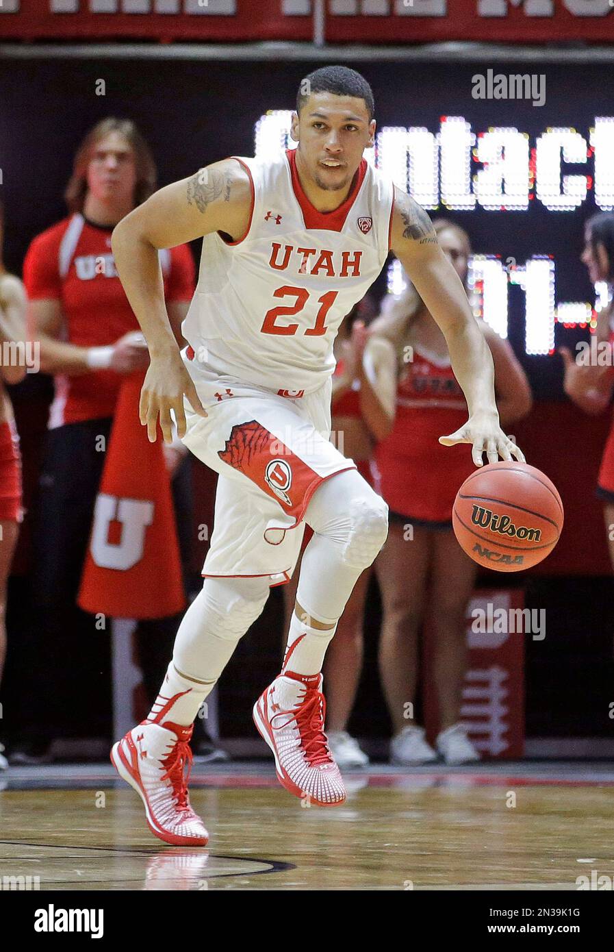 Utah forward Jordan Loveridge (21) brings the ball up court in the ...