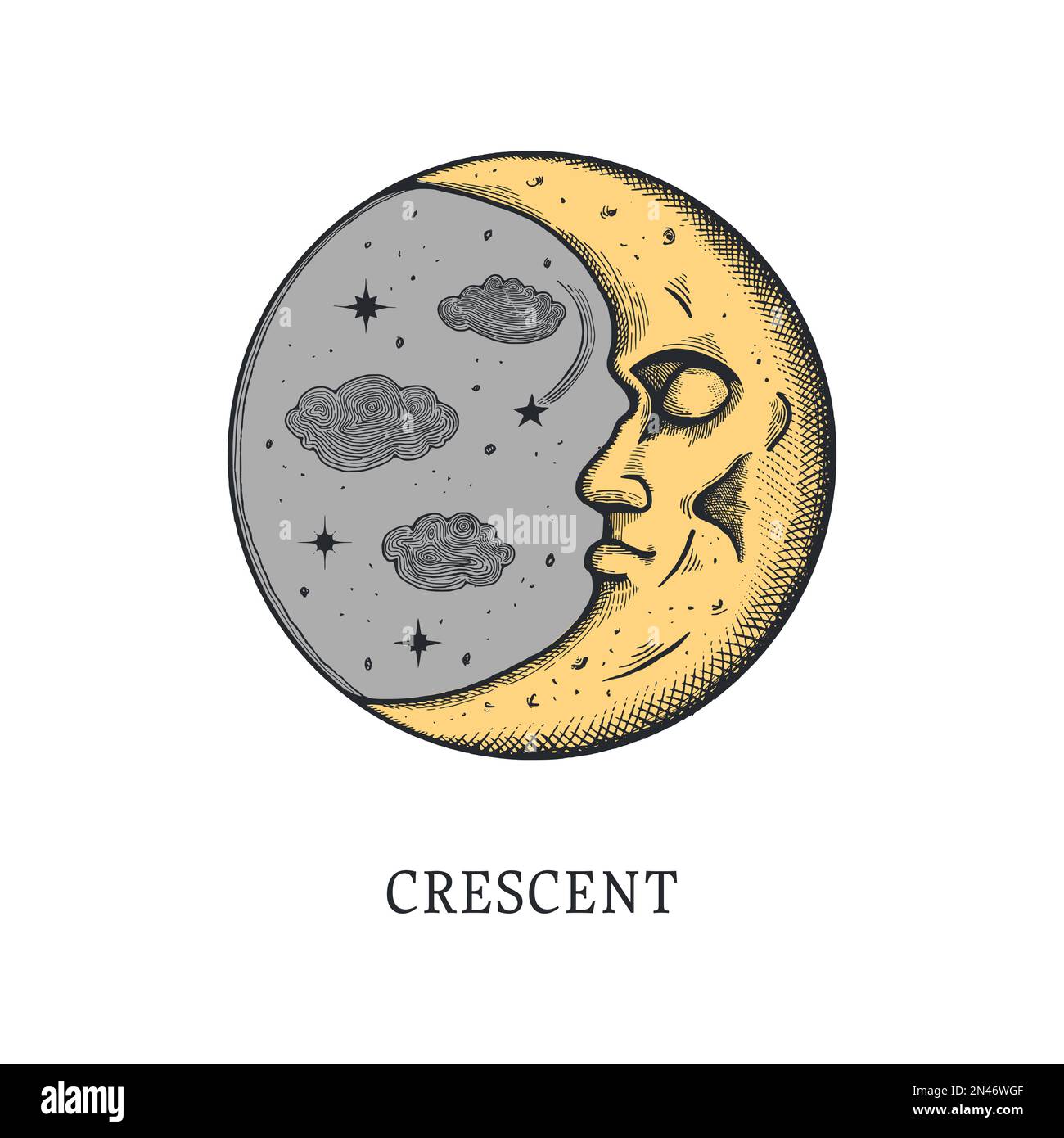 Disegni schizzo arte incisione Immagini Vettoriali Stock - Alamy