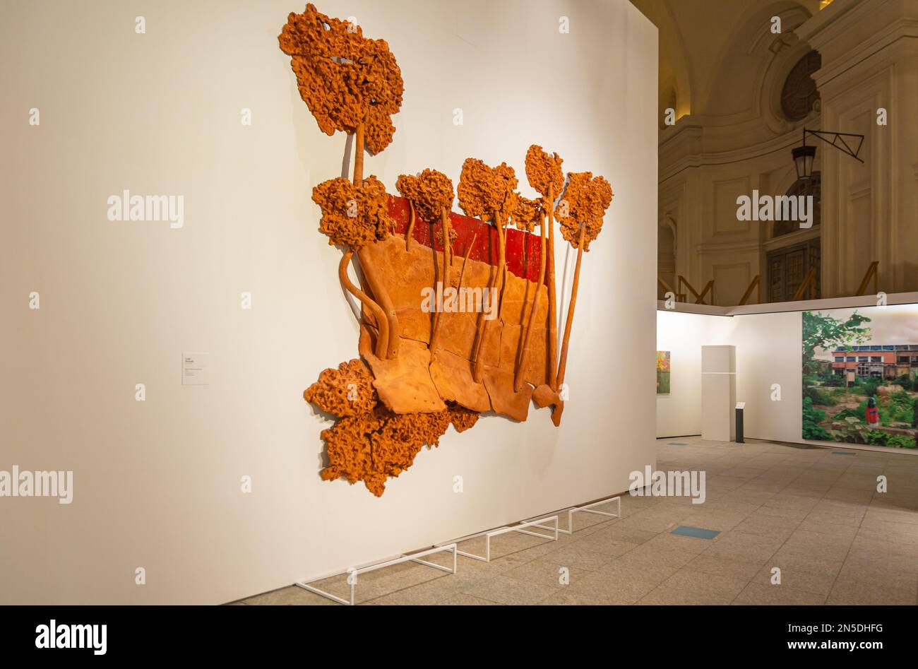 Luigi mainolfi artista immagini e fotografie stock ad alta risoluzione ...