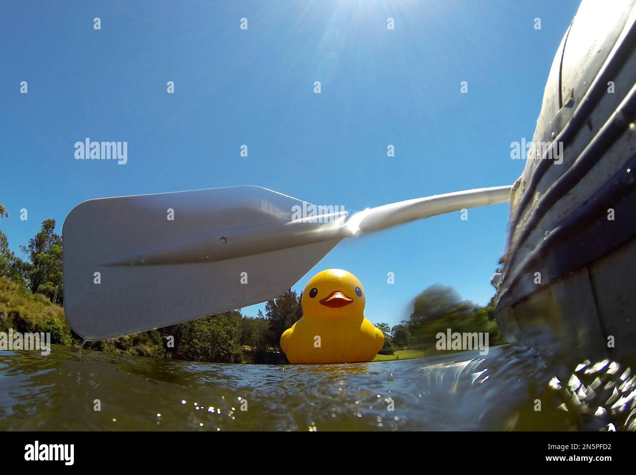 A 15-meter (45 foot) Rubber Duck created by artist Florentijn Hofman of ...