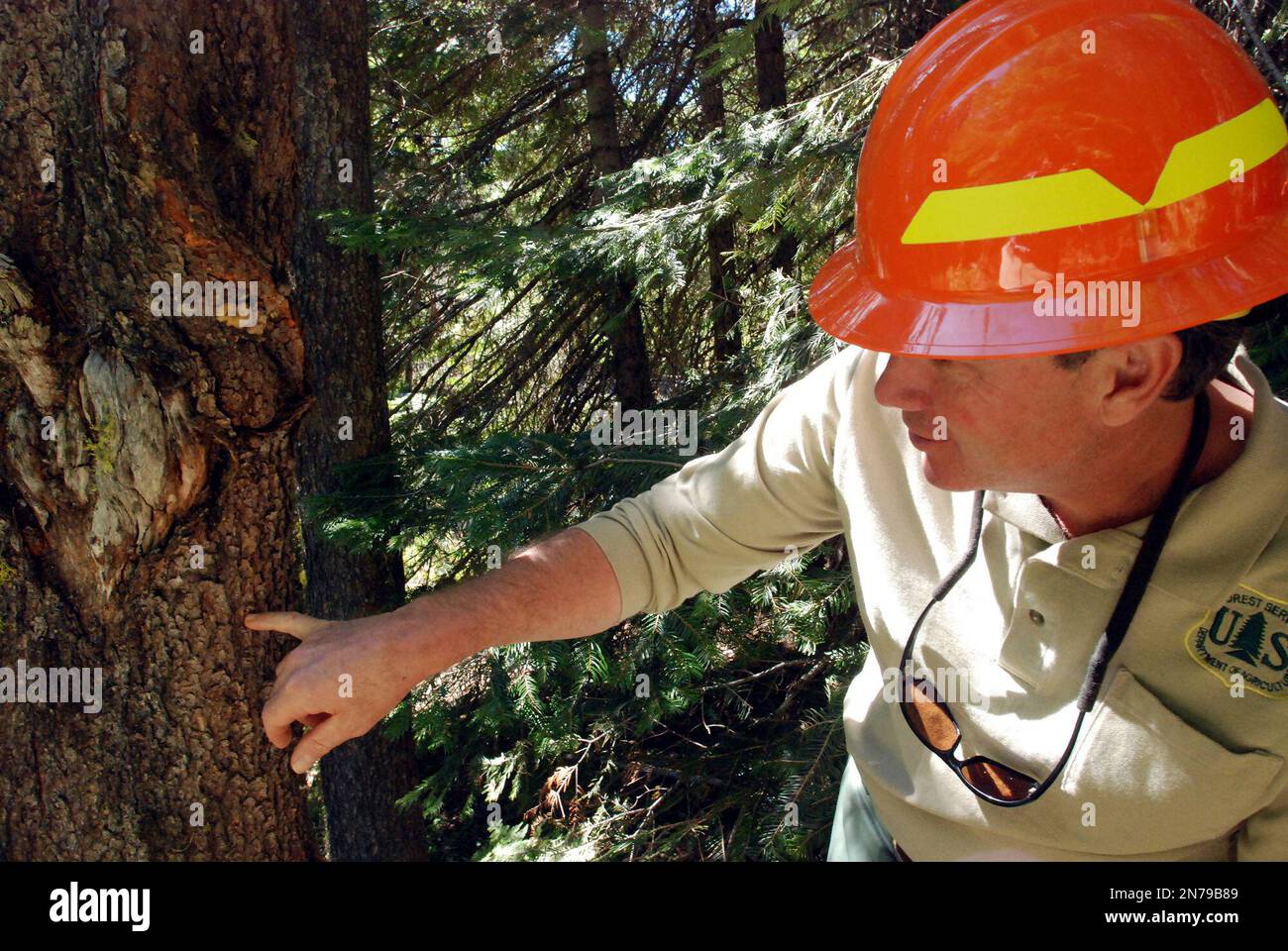 FILE - In this Sept. 8, 2009, file photo District Ranger Bill Gamble ...