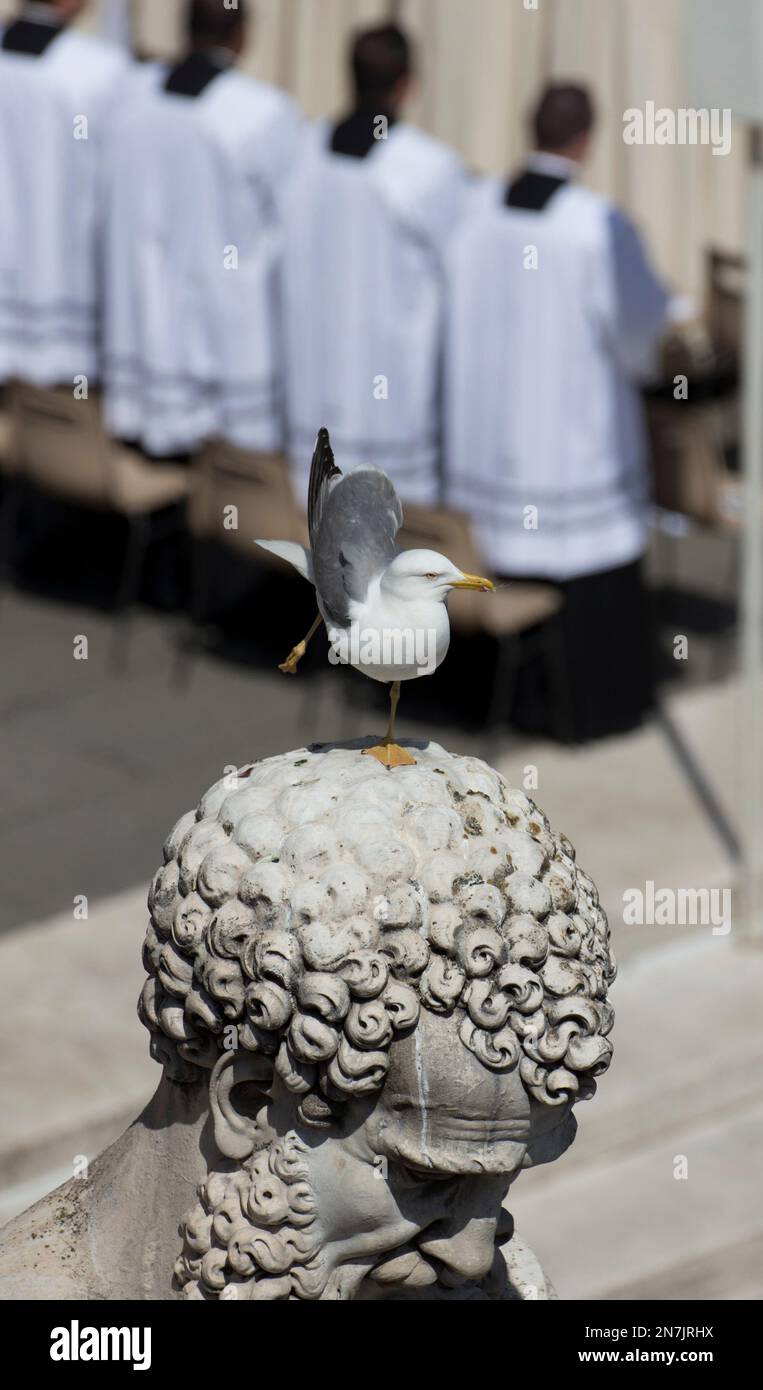 A seagull sits on the statue of St. Peter in St. Peter's Square at the ...