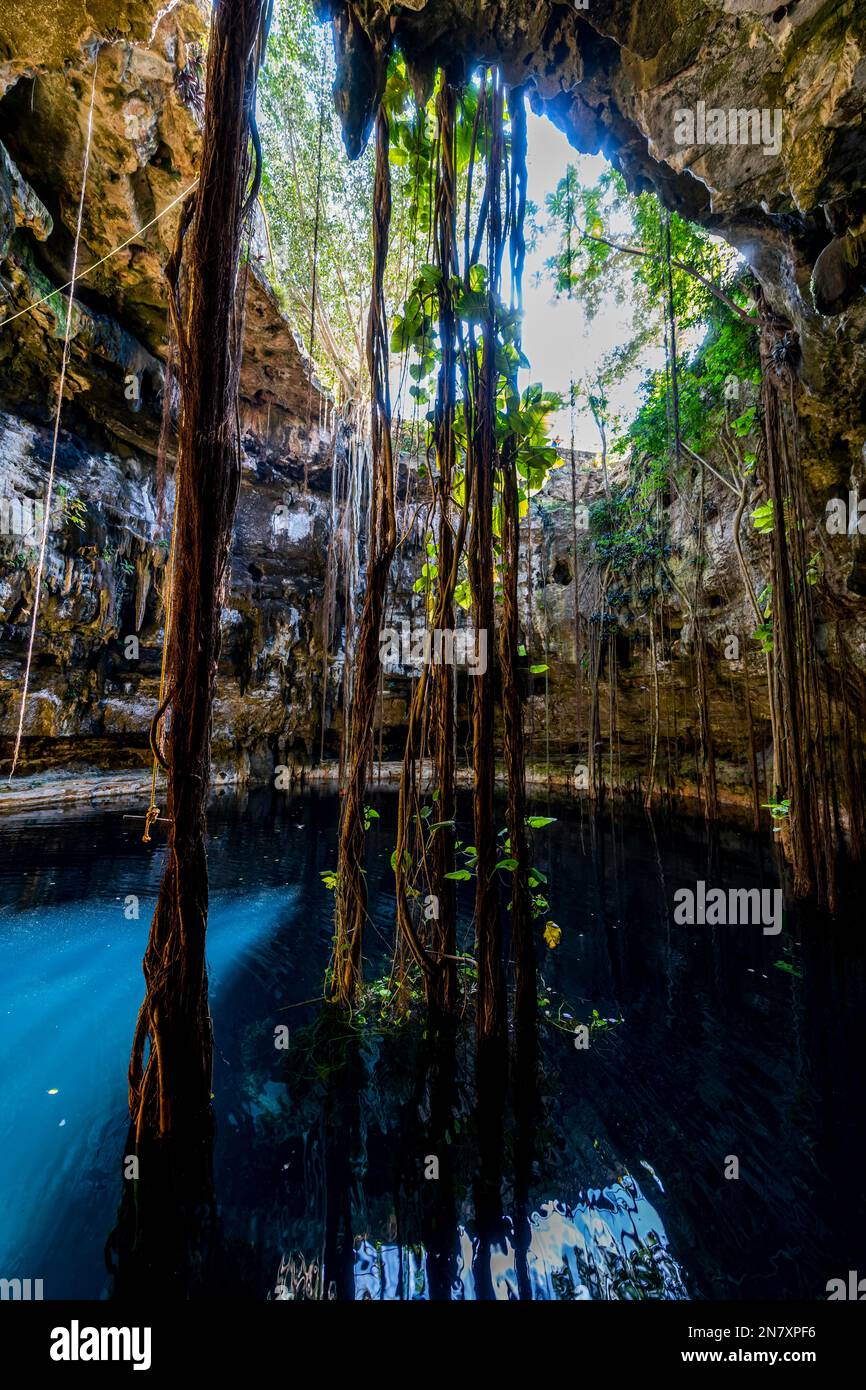 Cenote oxman immagini e fotografie stock ad alta risoluzione - Alamy
